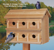 The Winfield Collection